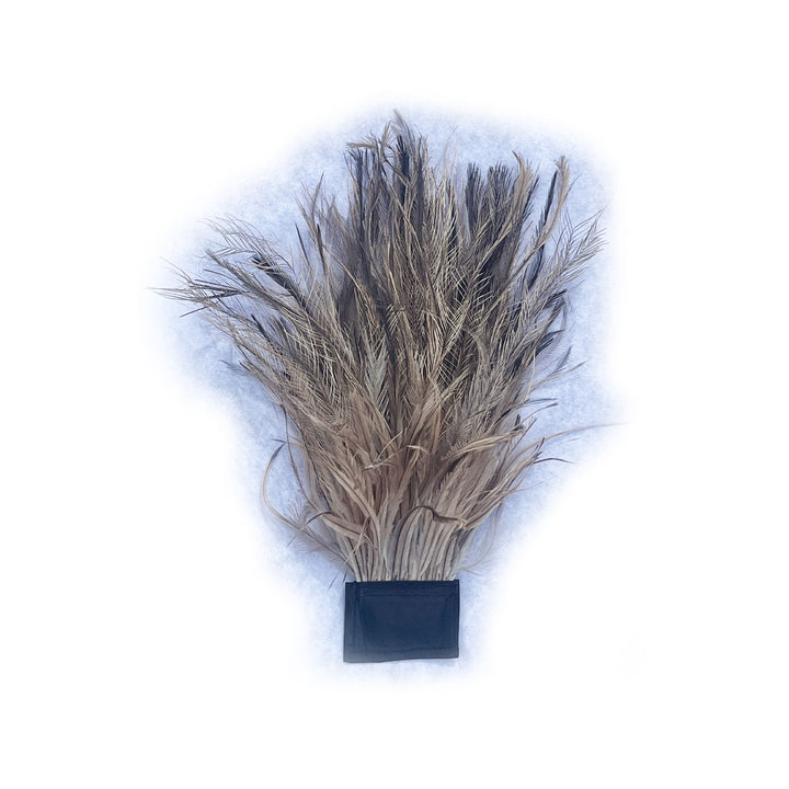 Emu Plume for Australian Army Slouch Hat | Cadetshop